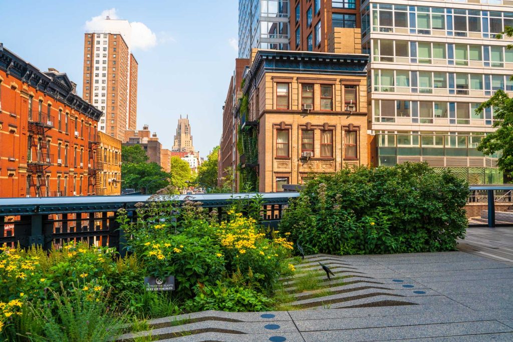Weed-Infused Restaurants NYC: Ultimate Guide to Cannabis Culinary ...